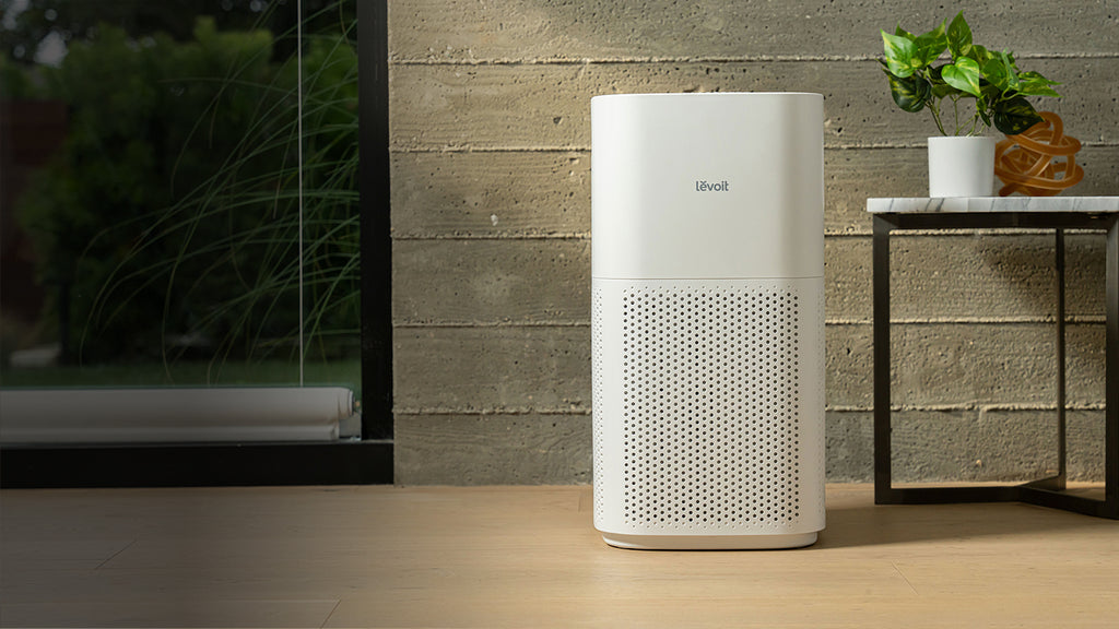 Shop All – Levoit
