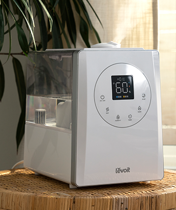 Find Your Ideal Humidifier at Levoit