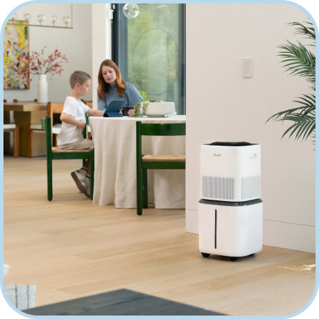 Levoit Superior 6000S Smart Evaporative Humidifier