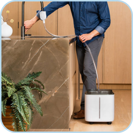 Evaporative Humidifier: Levoit Superior 6000S