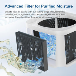 Air Purifier Filters – Genuine Levoit Replacement Filters