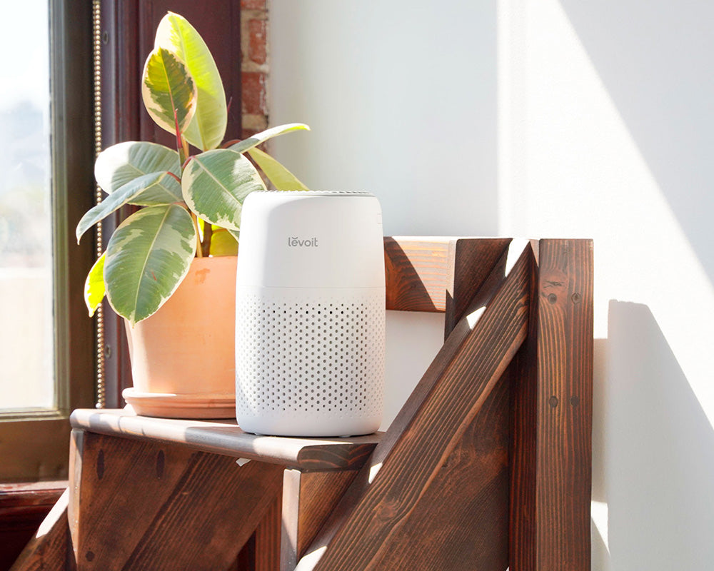 Levoit - Air Purifiers, Humidifiers, Tower Fans, Vacuums & More