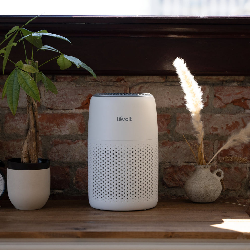 Levoit Core® Mini-P: Mini Air Purifier Excellence